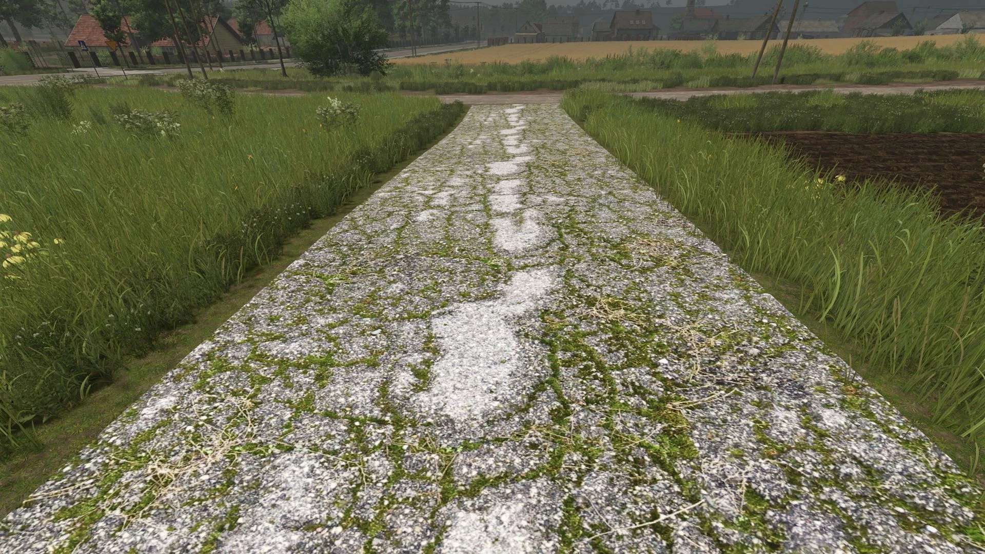 Asphalt and Paved Roads V1.0.0.2 - FS25 / FS22 Mod