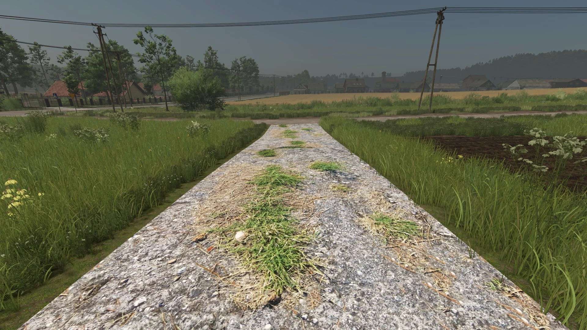 Asphalt and Paved Roads V1.0.0.2 - FS25 / FS22 Mod