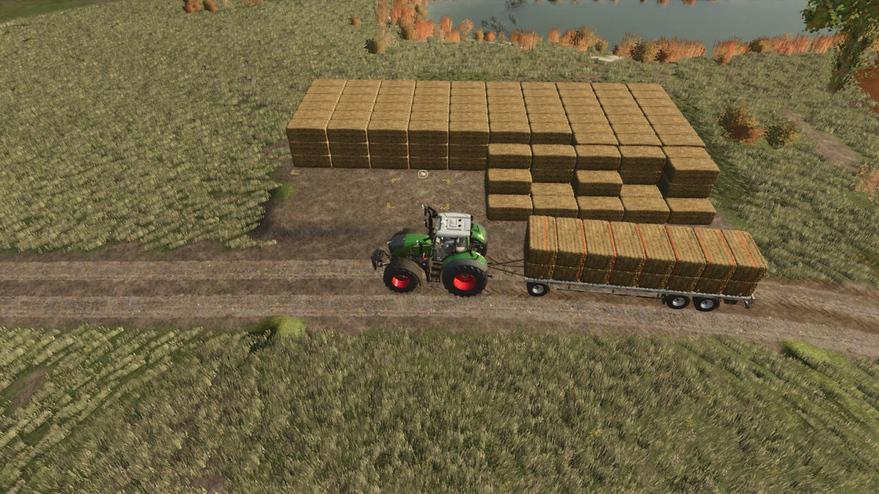 Automatic Bale Storage V1.0.0.0 - FS25 / FS22 Mod